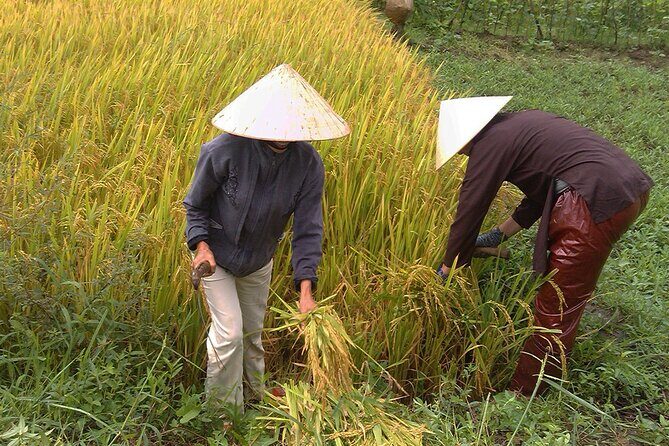 Private Cycling Tour in Rural Hue with Farming Experience - The Itinerary: A Closer Look