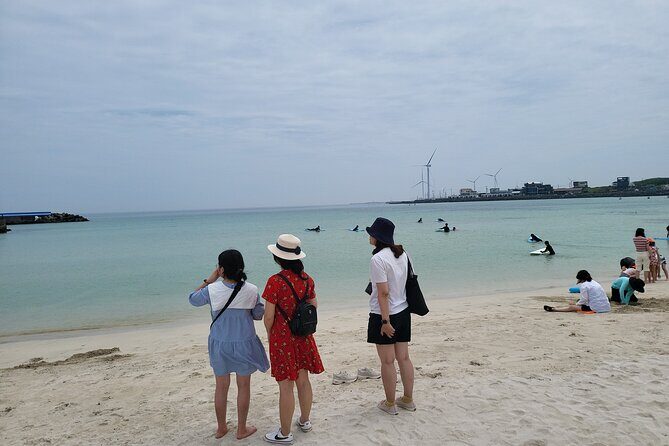 Private Day tour East & south & west of All area in jeju island - Who Would Love This Experience?