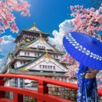 Private Day Tour in Osaka and Kyoto with charter car - Exploring the Itinerary in Detail