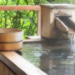 Private Day Tour in Tokyo with Government-Licensed Guide - What to Expect on Your Tour