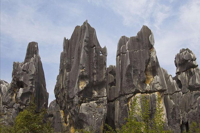 Private Day Tour: Kunming Highlight of Stone Forest - What Travelers Say — Insights from Reviews