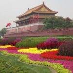 Private Day Tour: Mutianyu Great Wall and Forbidden City Including Lunch and Cable Car - A Detailed Look at the Tour Experience