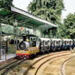 Private Day Tour of Delhi's Unusual Museums with Lunch - An Inside Look at the Itinerary