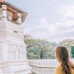 Private Day Tour to Explore Kandy from Colombo Harbor - A Taste of Sri Lanka’s Famous Tea