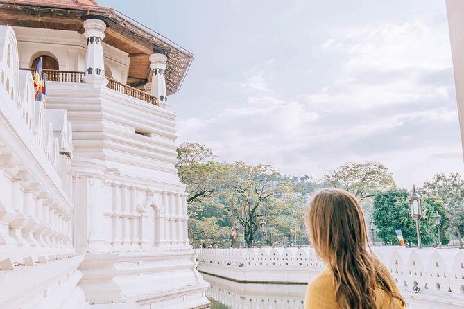 Private Day Tour to Explore Kandy from Colombo Harbor - A Taste of Sri Lanka’s Famous Tea