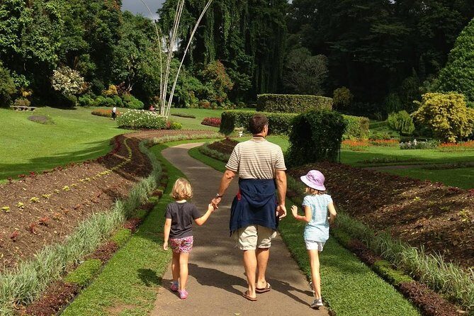 Private Day Tour To Kandy From Kaluthara - What Reviewers Say