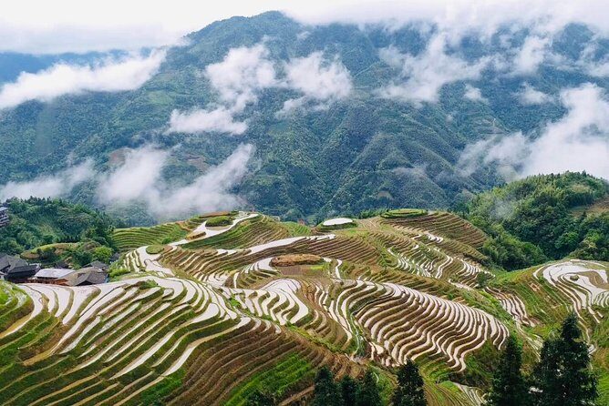 Private Day Tour to Longji Rice Terraces from Yangshuo - What makes this tour stand out?