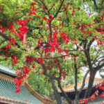 Private Day Tour to Mount Guifeng in Xinhui from Guangzhou - Mount Guifeng National Forest Park: The Heart of the Experience