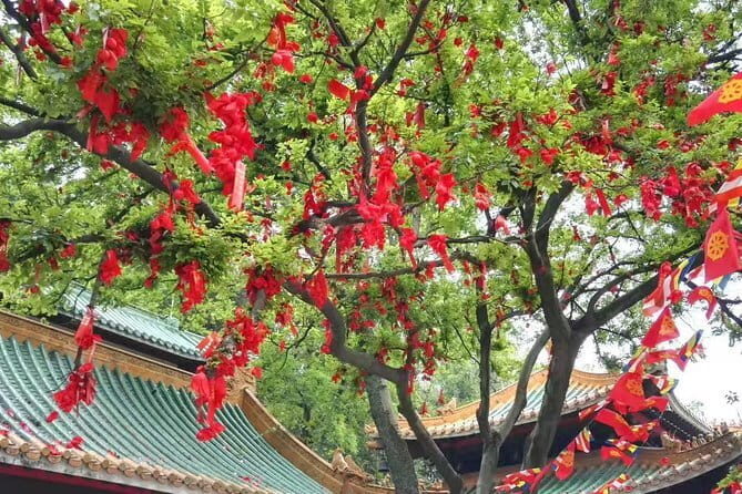 Private Day Tour to Mount Guifeng in Xinhui from Guangzhou - Mount Guifeng National Forest Park: The Heart of the Experience