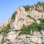Private Day Tour to Mountain Tai from Beijing by Bullet Train - Authentic Experiences and Insights from Reviews