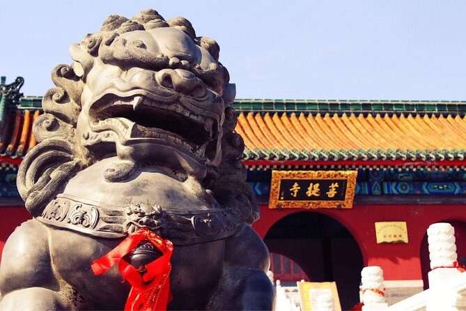 Private Day Tour to Shaolin Temple from Zhengzhou with Flexiable Departure Time - The Practical Details: What You Need to Know
