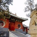 Private Day Tour to Shaolin Temple with Kungfu Show from Guangzhou by Air - What Travelers Say