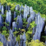 Private Day Tour to Stone Forest, Dianchi Lake and West Hill from Kunming - The Practical Side: What This Tour Means for You