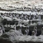 Private Day Tour to Terra Cotta Warriors Museum from Xian - Who Would Benefit Most?