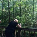 Private Day Tour: Visit Giant Pandas and Discover Shu Culture in Chengdu - Lunch & Transition to Ancient Shu Culture