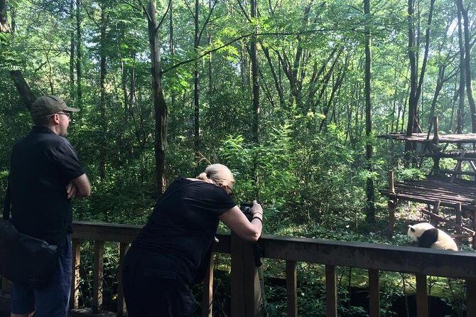 Private Day Tour: Visit Giant Pandas and Discover Shu Culture in Chengdu - Lunch & Transition to Ancient Shu Culture