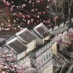 Private Day Trip Mutianyu Great Wall and Temple of Heaven - Who Will Love This Tour?