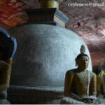 Private day trip Sigiriya, Dambulla with Kaudulla national park safari - Authentic Experiences and Traveler Perspectives