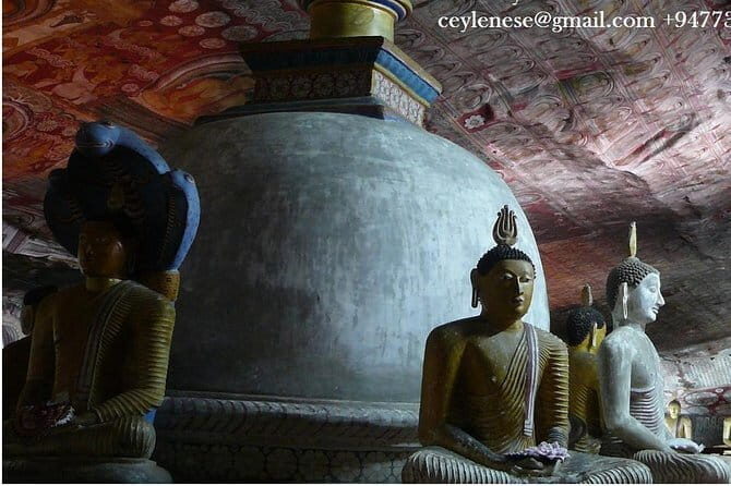 Private day trip Sigiriya, Dambulla with Kaudulla national park safari - Authentic Experiences and Traveler Perspectives
