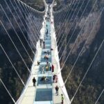 Private Day Trip to Avatar Mountain & Glass Bridge with Lunch - What You Can Expect from the Itinerary