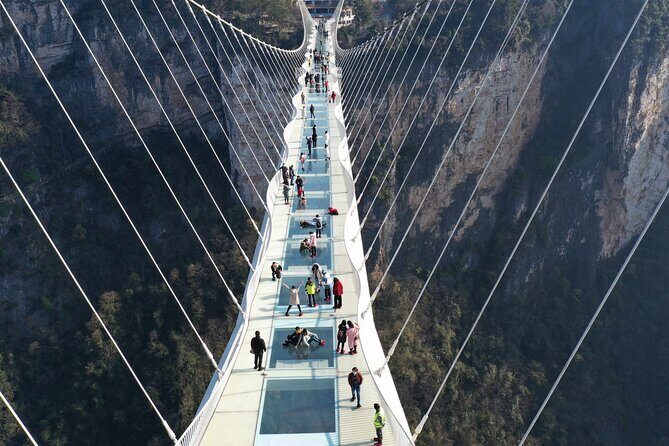 Private Day Trip to Avatar Mountain & Glass Bridge with Lunch - What You Can Expect from the Itinerary