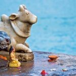 Private Day Trip To Haridwar And Rishikesh From Delhi - Who Will Love This Tour