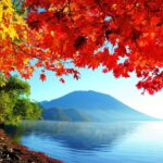 Private Day trip to Nikko with English speaking Guides - What Travelers Say