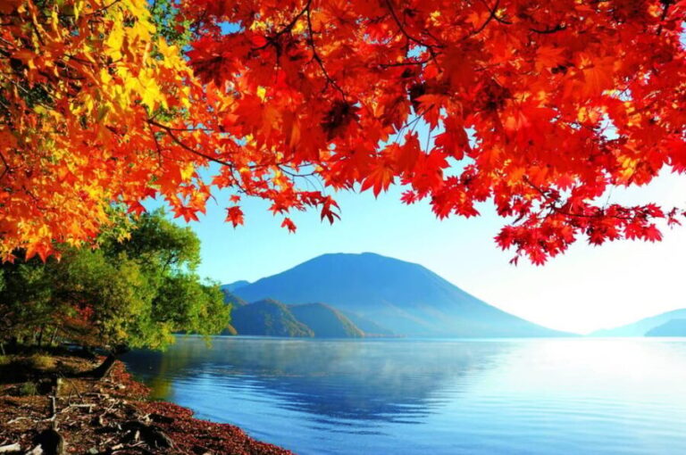 Private Day trip to Nikko with English speaking Guides - What Travelers Say