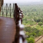 Private Day Trip to Sigiriya, cave and National park Safari Tour - The Itinerary in Detail
