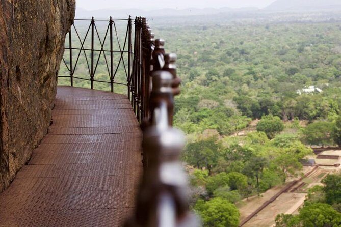 Private Day Trip to Sigiriya, cave and National park Safari Tour - The Itinerary in Detail