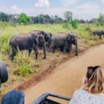 Private Day Trip To Sigiriya Dambulla and Safari From Trincomalee - Wildlife Encounters at Minneriya and Kaudulla
