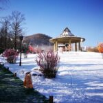 Private Day Trip to Yingjie Hot Spring in Bin County from Harbin - How Does the Price Reflect the Experience?