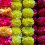 Private Delhi City Sightseeing Tour - The Sum Up