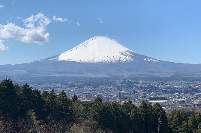 Private departure transfer from Kobe City & Arima Onsen to Kansai Airport - Practical Details & Tips