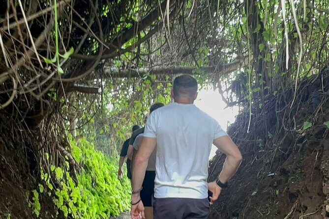 PRIVATE DMZ Tour from Hue - Half Day - Vinh Moc Tunnels - Who Should Consider This Tour?