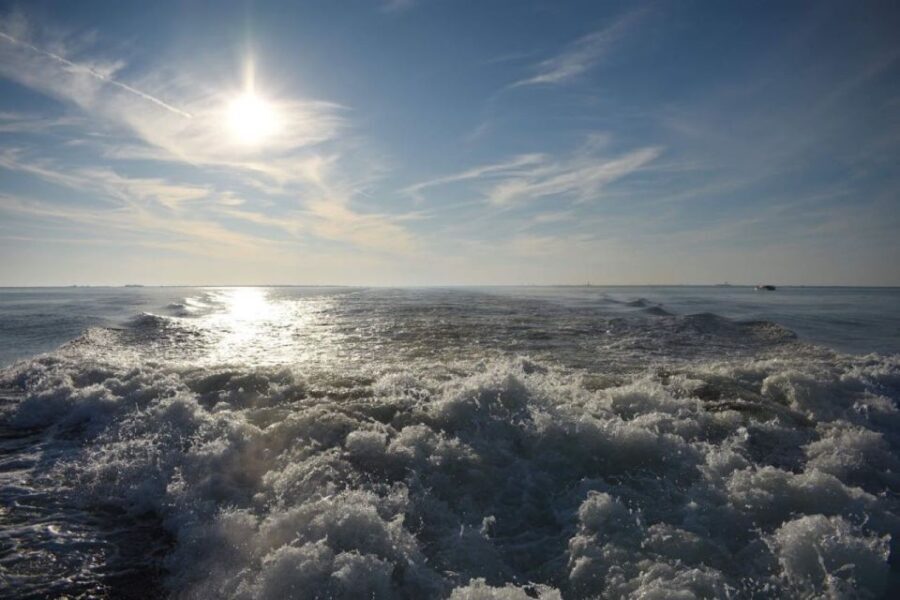 Private Dolphin Tour with Secluded Beach/Snorkel Stop - The Itinerary and What You Can Expect