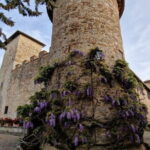 Private driver Florence Wine Tour countryside of Tuscany 7 hours - The Sum Up: Is This Tour Worth It?