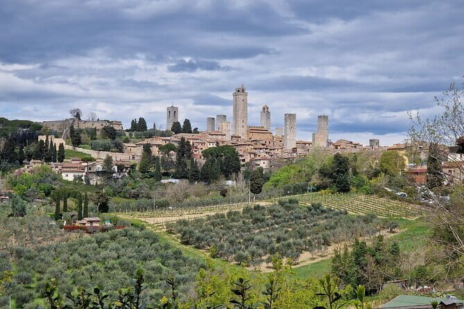 Private driver from Florence: Siena, San Gimignano, Pisa 12 hours - Authentic Experiences and Traveller Feedback