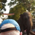 Private driver with City Tour in CAR - The Itinerary in Detail