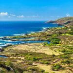 Private Driving Tour of Oahu Scenic South Shore - A Detailed Look at the Itinerary and What You’ll Experience
