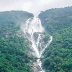 Private Dudhsagar waterfalls & Spice Plantation with Lunch from Mormugao Port - Who Will Enjoy This Tour?