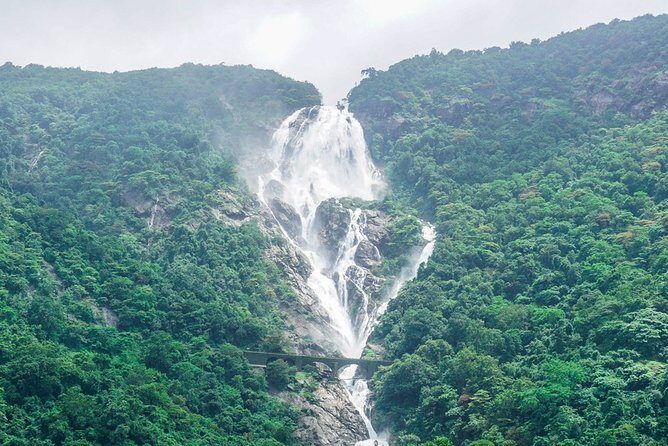 Private Dudhsagar waterfalls & Spice Plantation with Lunch from Mormugao Port - Who Will Enjoy This Tour?