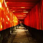 Private eBike Tour Exploring Fushimi with Torii Red Gate Ride - FAQ