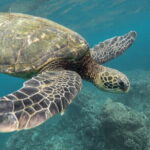 Private Excursion to Galle - What Makes This Tour Stand Out?