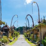 Private Experience: Bali Village Tour - Practical Details: What to Expect