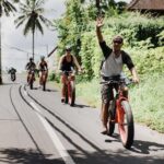 Private Fat Tire E-Bike Tour in Ubud - Authentic Cultural Encounters