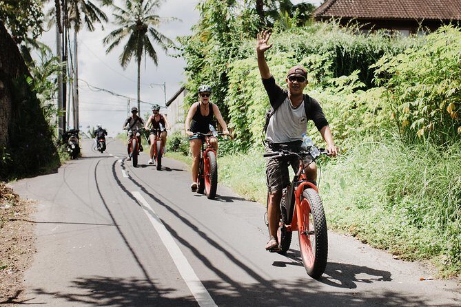 Private Fat Tire E-Bike Tour in Ubud - Authentic Cultural Encounters