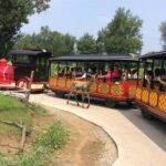 Private Full-Day Beijing Wildlife Park Tour - The Practical Side