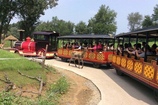 Private Full-Day Beijing Wildlife Park Tour - The Practical Side