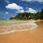 Private Full-Day Blue Dragon Yacht for Snorkeling Koh Tan & Visit Pink Dolphin - Key Points